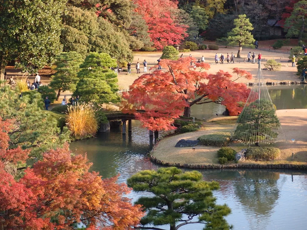 Địa điểm ngắm lá vàng, lá đỏ mùa thu Tokyo đẹp nhất - Nippon Osusume